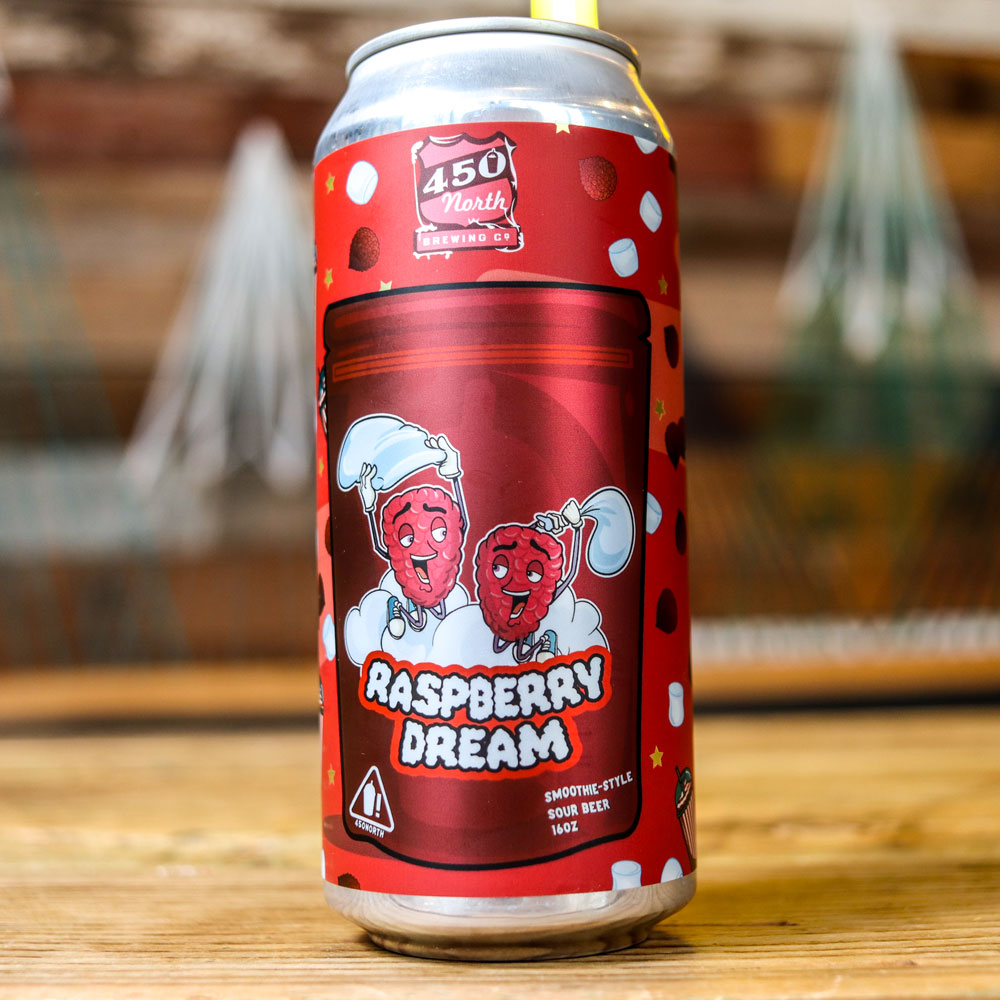 450 North Raspberry Dream Smoothie Style Sour 16 FL. OZ. Can